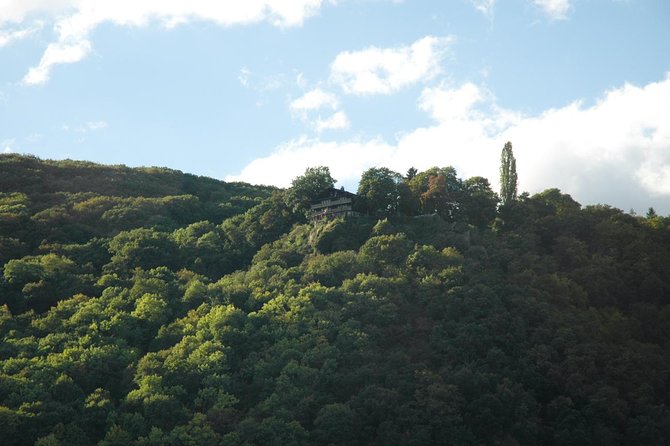 Heidelberg and Rhine Valley Day Trip With Wine Tasting and Dinner From Frankfurt - Frequently Asked Questions