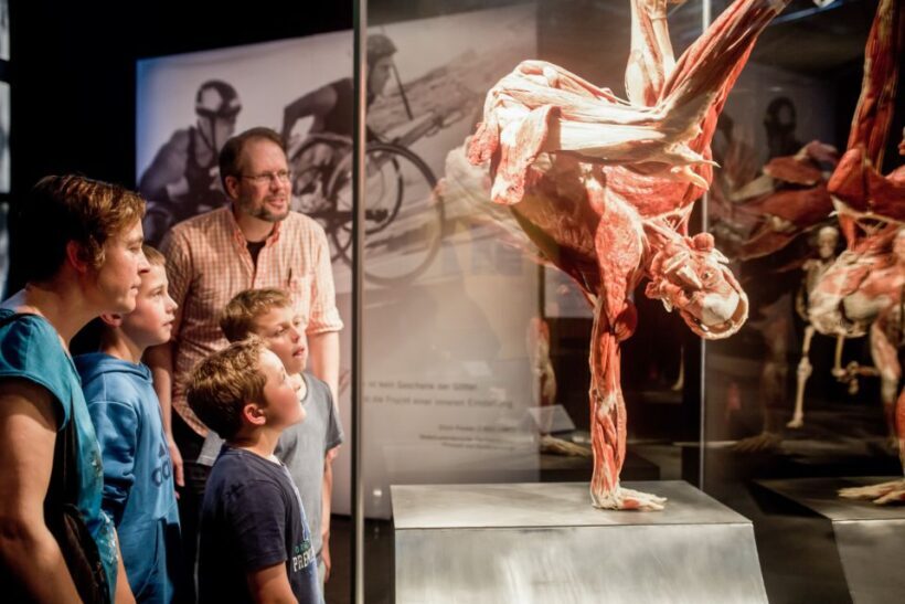 Heidelberg: BODY WORLDS Museum Entry Ticket - Authentic Visitor Experiences