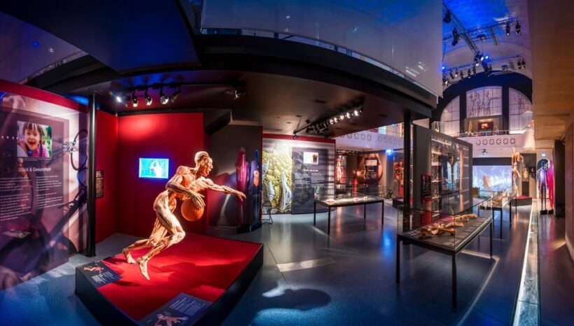 Heidelberg: BODY WORLDS Museum Entry Ticket - FAQ