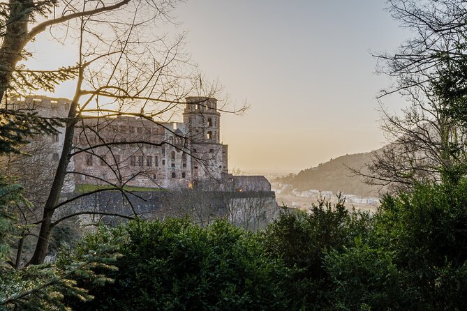 Heidelberg Castle and City Day Tour From Frankfurt - Discovering the Charming Town of Heidelberg
