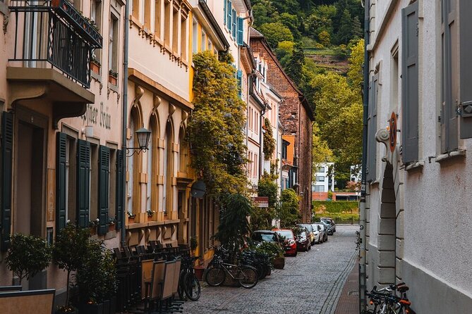 Heidelberg Castle and City Day Tour From Frankfurt - Feedback and Suggestions