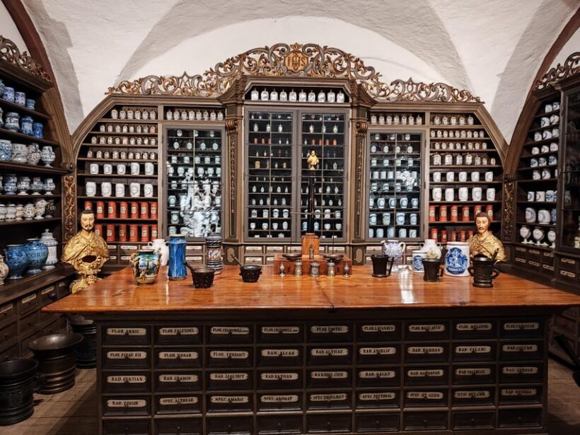 Heidelberg Castle - The Highlights in 1 h EXPRESS TOUR - The Sum Up