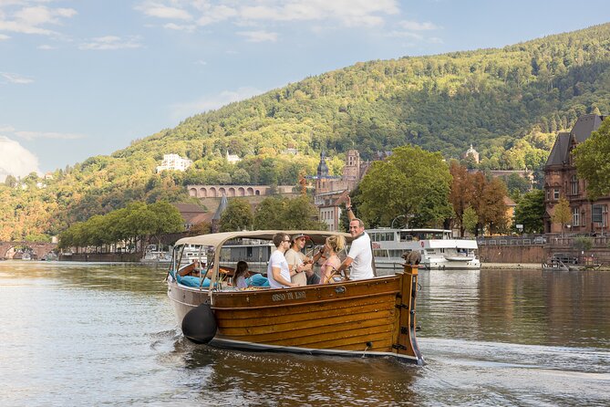 Heidelberg: Exclusive Private Boat Trip for up to 12 Guests - Key Points