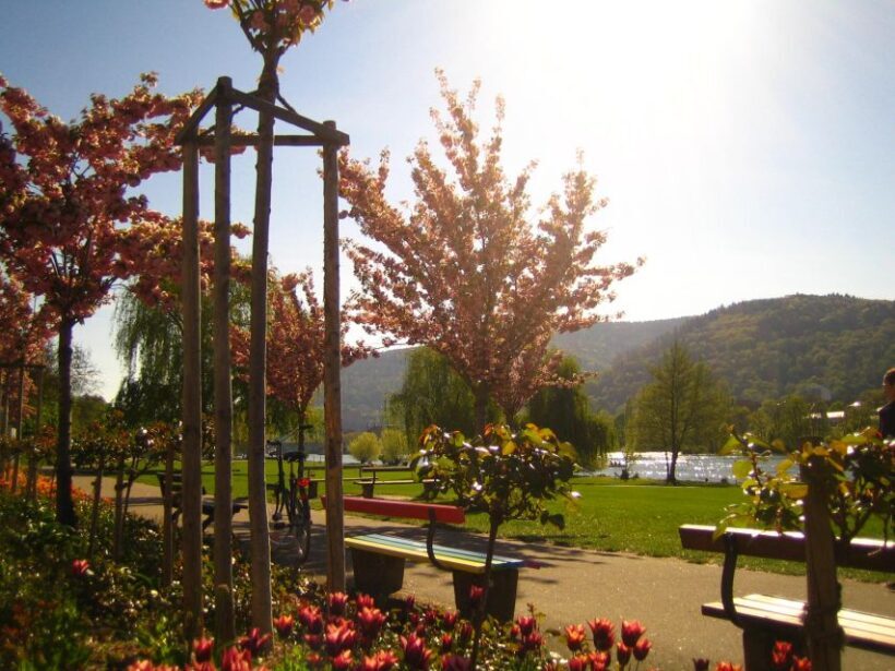 Heidelberg: Guided Bike Tour - FAQ
