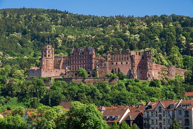 Heidelberg Heritage: Private Old Town and Castle Tour - Who Would Enjoy This Tour?