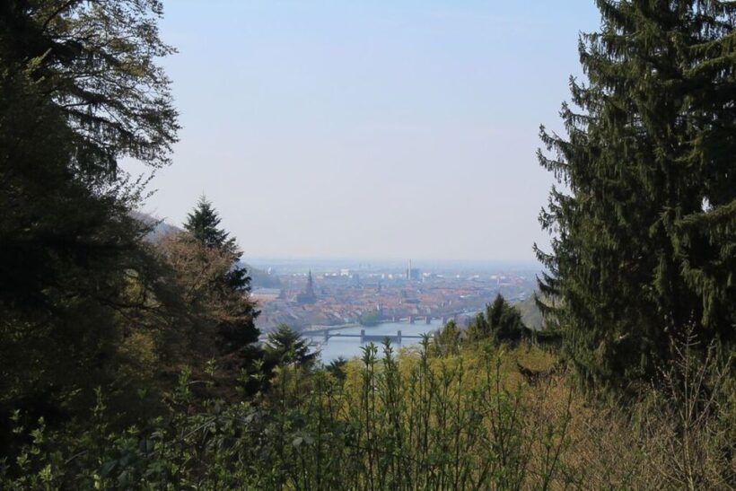 Heidelberg Highlights Segway Tour with Castle - What Makes This Tour Special?