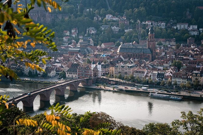 Heidelberg Like a Local: Customized Private Tour - Discovering Heidelbergs Architectural Gems