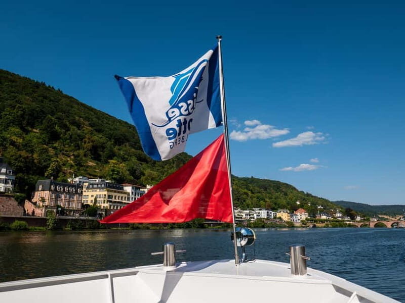 Heidelberg: Neckar River Sightseeing Cruise with a Drink - Who Will Love This Cruise?