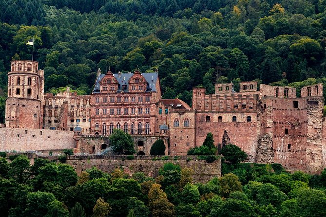 Heidelberg Public Walking Tour With A Professional Guide - Who Should Consider This Tour?