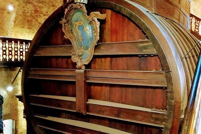 Heidelberg Tour With Winetasting. - Accessibility and Accommodations