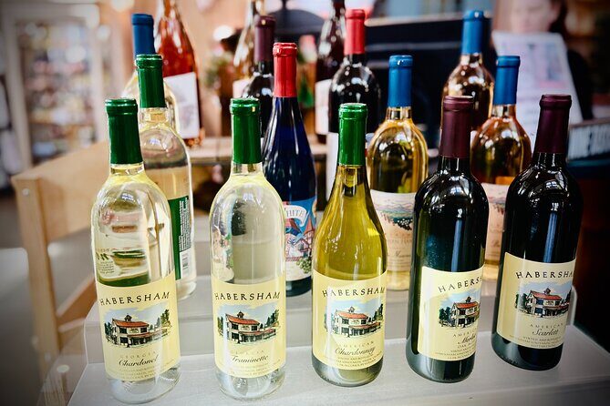 Helen N. Georgia Private Winery Tour, Dine and Shop from Atlanta - Starting with Comfort and Convenience