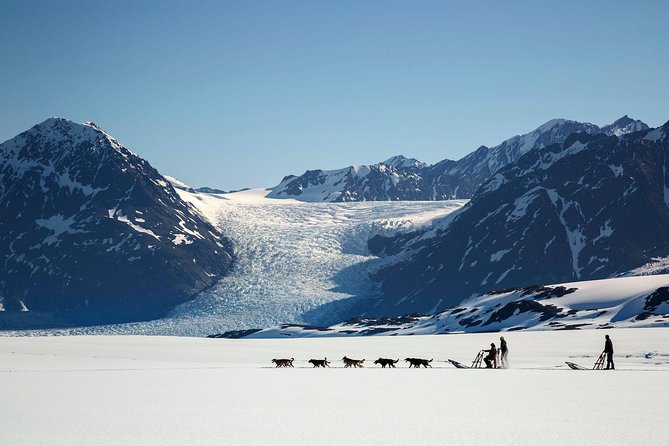 Helicopter Glacier Dogsled Tour + Lower Glacier Landing - ANCHORAGE AREA - Inclusions and Requirements