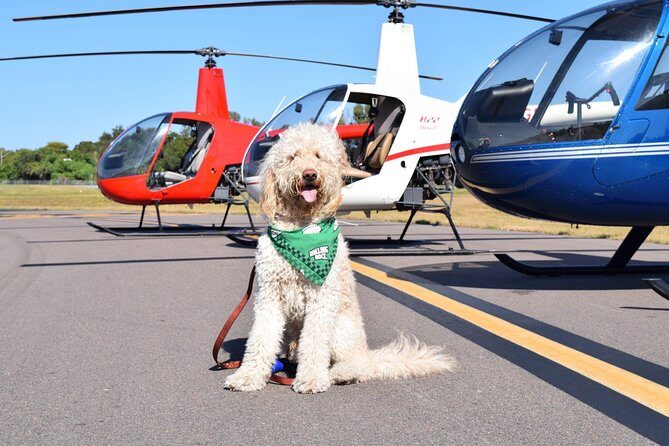 Helicopter Tour of Clearwater Beach and Belleair Country Club - A Closer Look at the Helicopter Tour Experience