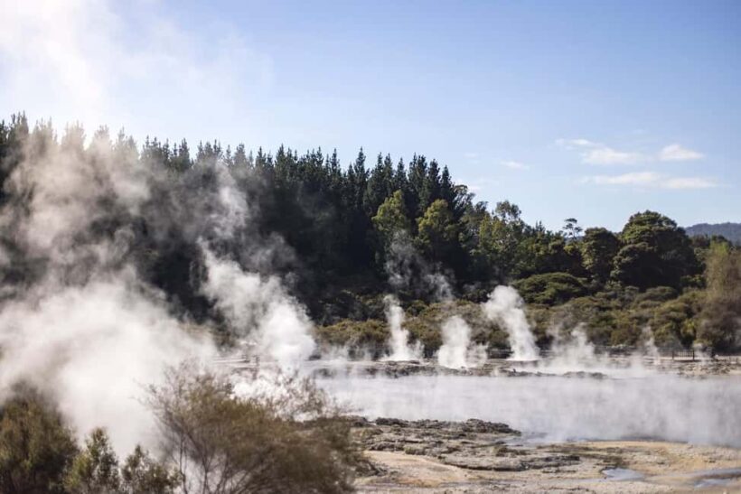 HELL'S GATE Mud Spa, Rotorua - Group Day Tour Ex Auckland - Detailed Review: Discovering Rotorua with Hell’s Gate
