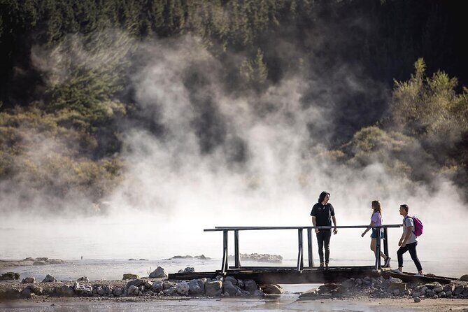 Hell's Gate Mud Spa & Thermal Park Group Day Tour from Auckland - A Practical Look at the Itinerary
