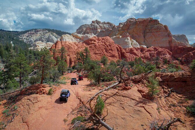 Hell's Hole Extreme UTV Red Rock Adventure - Is This Tour Worth the Price?