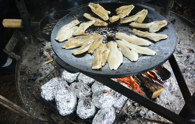 Helsinki: Arctic Hovercraft Experience with Lunch - Final Thoughts