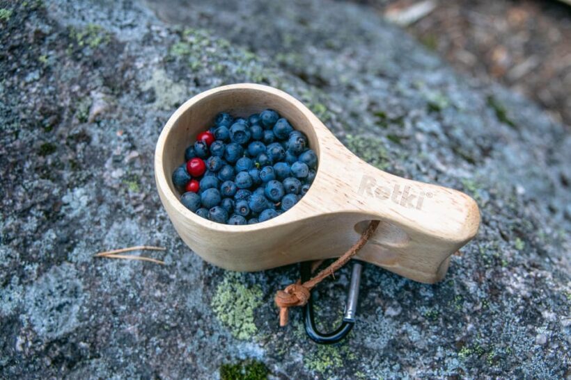 Helsinki: Nuuksio National park hiking with campfire lunch - Key Points