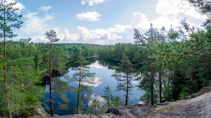 Helsinki: Nuuksio National park hiking with campfire lunch - Introduction: A Nature Break from Helsinki’s City Buzz