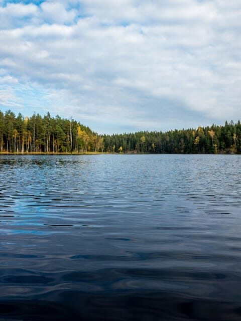 Helsinki: Nuuksio National park hiking with campfire lunch - Practical Tips for Participants