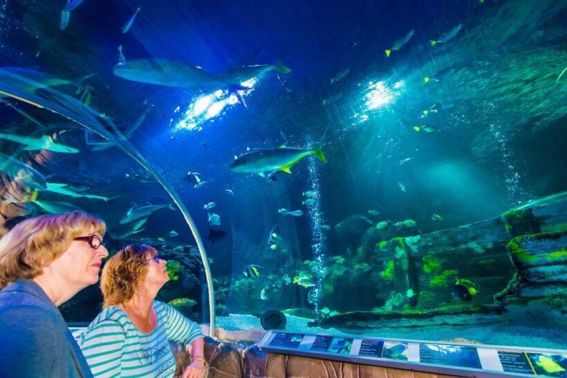 Helsinki: Sea Life Entrance Tickets - Key Points