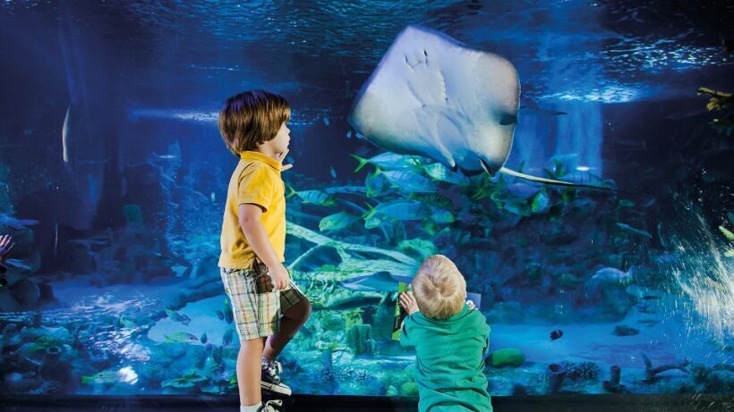 Helsinki: Sea Life Entrance Tickets - Experience Overview: What You Can Expect