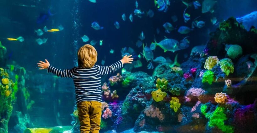 Helsinki: Sea Life Entrance Tickets - Authentic Experiences from Visitors