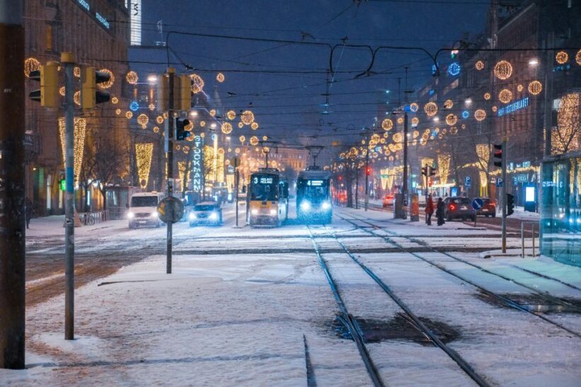 Helsinki: Tour with Private Guide - Authentic Encounters and Local Flavor