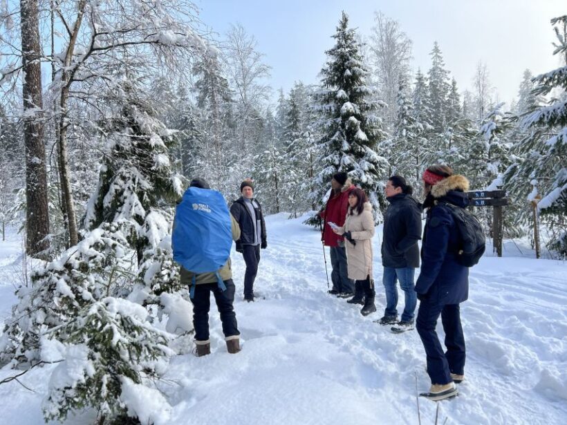 Helsinki: Winter Wonderland Liesjärvi National Park Hike - The Itinerary in Detail