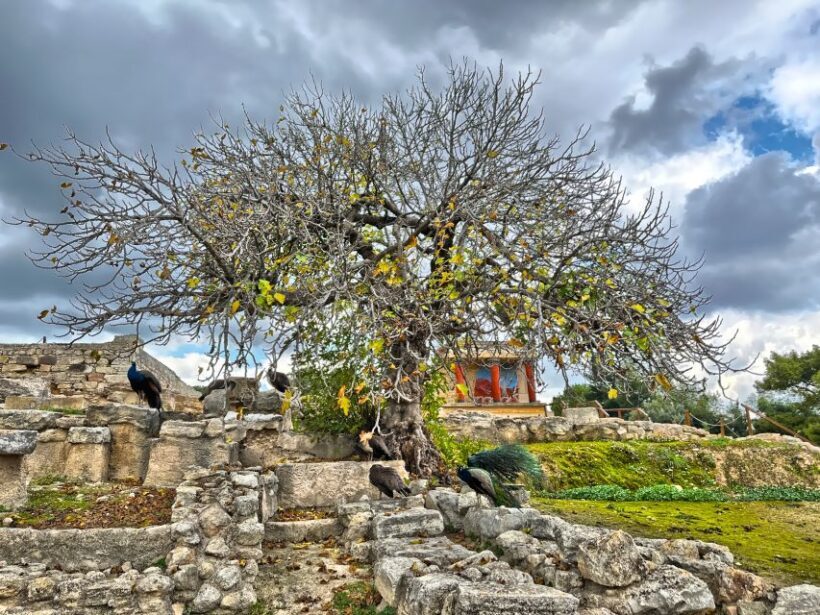 Heraklion: Archeological Museum of Heraklion Entrance & Tour - Final Thoughts: Who Should Sign Up?
