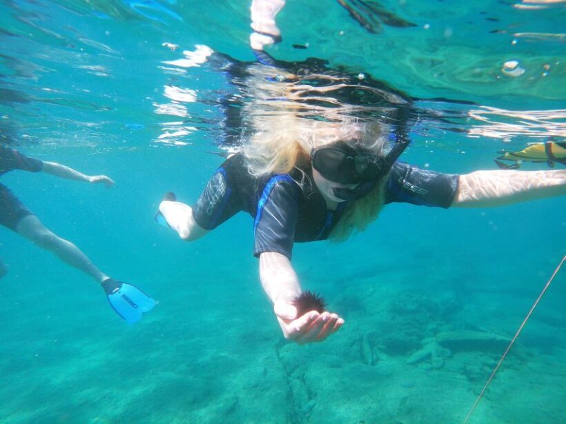 Heraklion: Beginner-Friendly Snorkeling Trip - FAQ