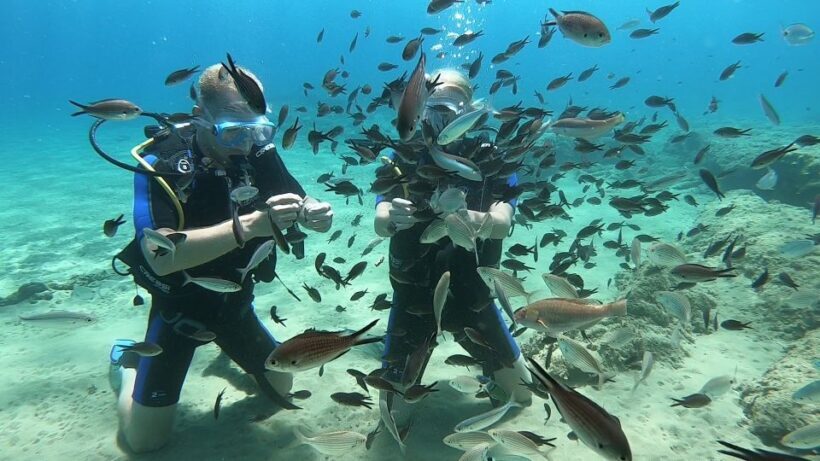 Heraklion: Beginner Scuba Diving Lesson with PADI Instructor - Authentic Experiences and Reviews