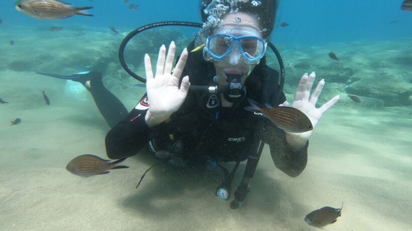Heraklion: Beginner Scuba Diving Lesson with PADI Instructor - The Sum Up: Why You Should Consider This Tour