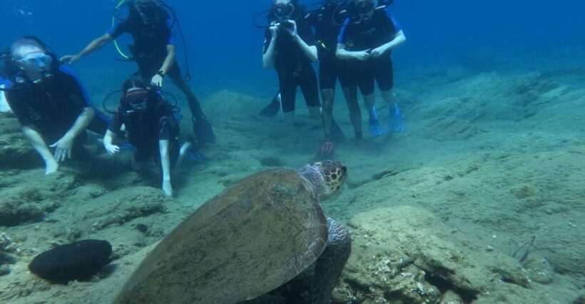 Heraklion: Beginner's intro dive w/2 Dives with transfer. - Key Points