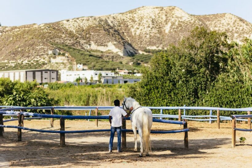 Heraklion: Finikia Horse Riding Tour with Lunch or Dinner - Key Points