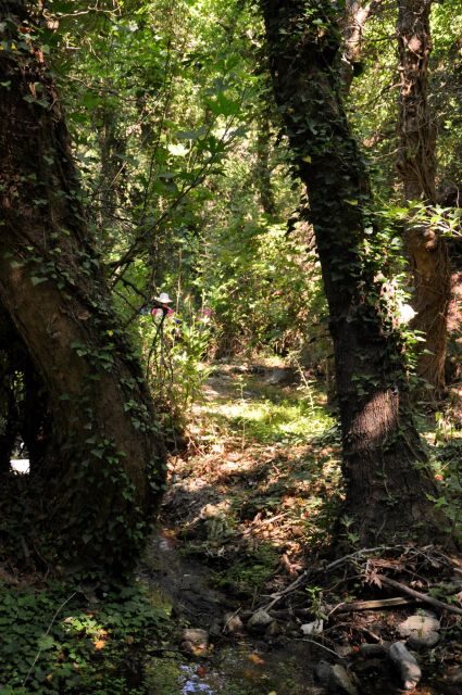 Heraklion: Full Day to Rihti Waterfalls, Mochlos, Azoria - FAQ