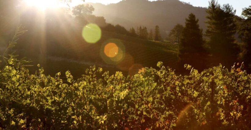 Heraklion: Half Day Semi Private Wine Tour with Tastings - The Transportation and Group Size