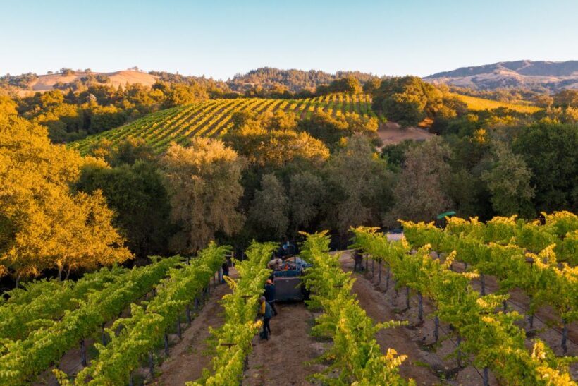 Heraklion: Half Day Semi Private Wine Tour with Tastings - Final Thoughts