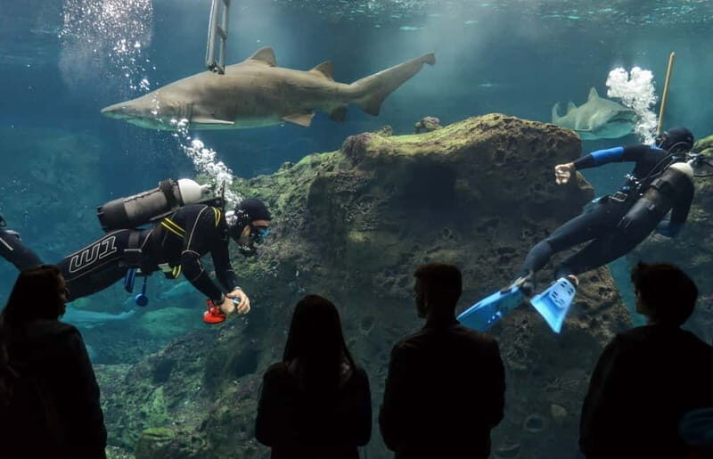 Heraklion: Heraklion Market & CretAquarium *SKIP The Line - FAQ