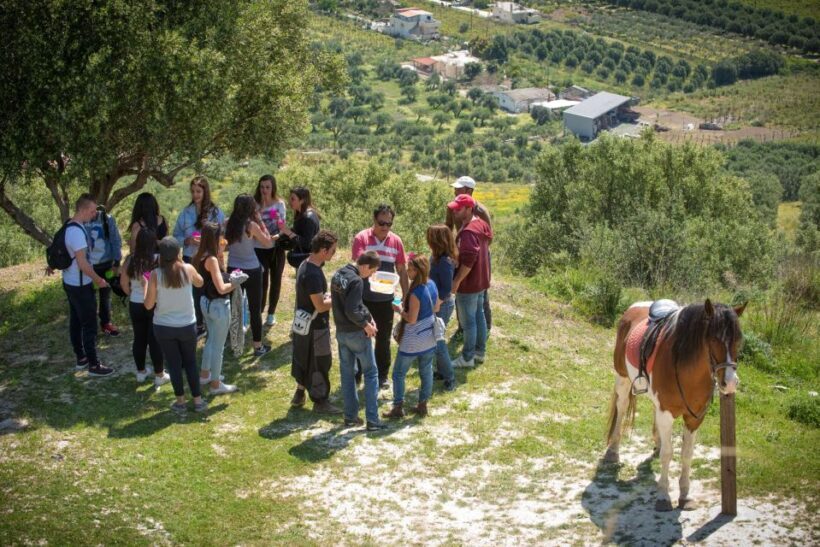 Heraklion: Horseriding Day Tour with Lunch and Transfer - A Closer Look at the Experience