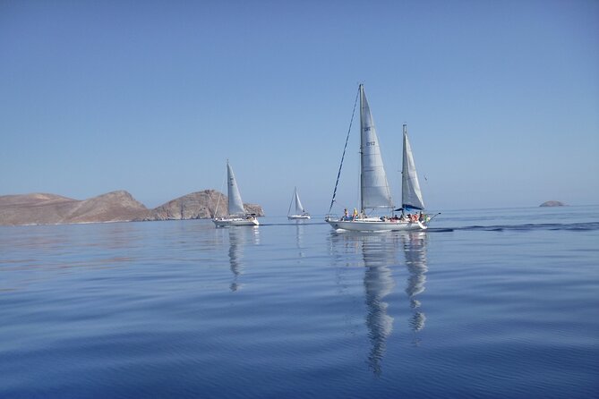 Heraklion: Nature Reserve Full Day Sailing to Dia Island & Lunch - Feedback From Previous Travelers