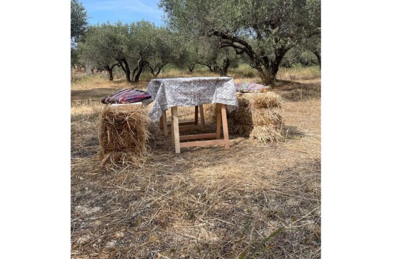 Heraklion :Olive & Dragon Farm Tour & Cretan Farmers Brunch - An In-Depth Look at the Experience