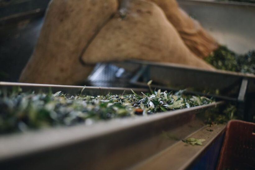 Heraklion: Olive Farm Tour with Tasting of Local Delicacies - Authenticity and Value
