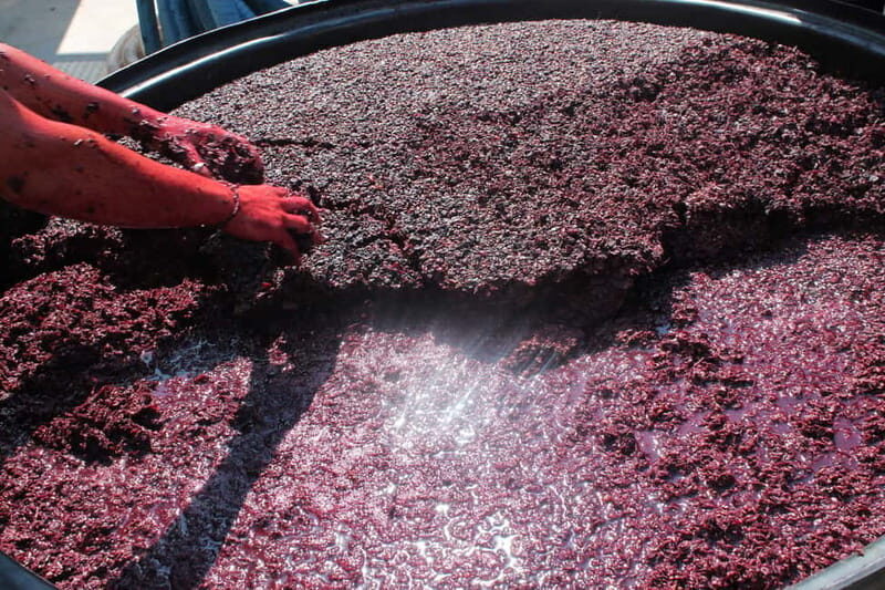 Heraklion: Private Food and Wine Tour with a local Sommelier - Final Word