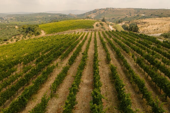 Heraklion Private Half-Day Gastronomy Diaries Experience in Lyrarakis Winery - FAQ