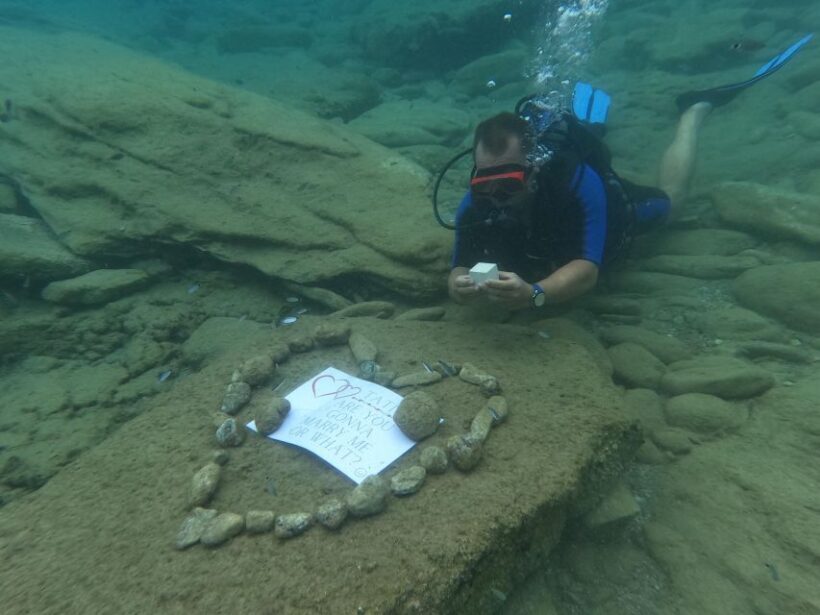 Heraklion: Scuba Diving Experience for Beginners - Authentic Marine Encounters and Safety