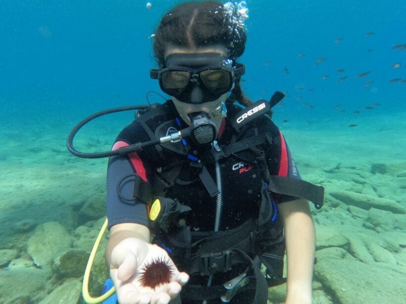 Heraklion: Scuba Diving Experience for Beginners - Practical Tips for Participants
