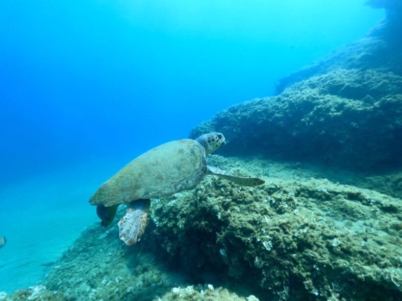 Heraklion: Scuba Diving Experience for First-Timers - The Highlights That Make a Difference