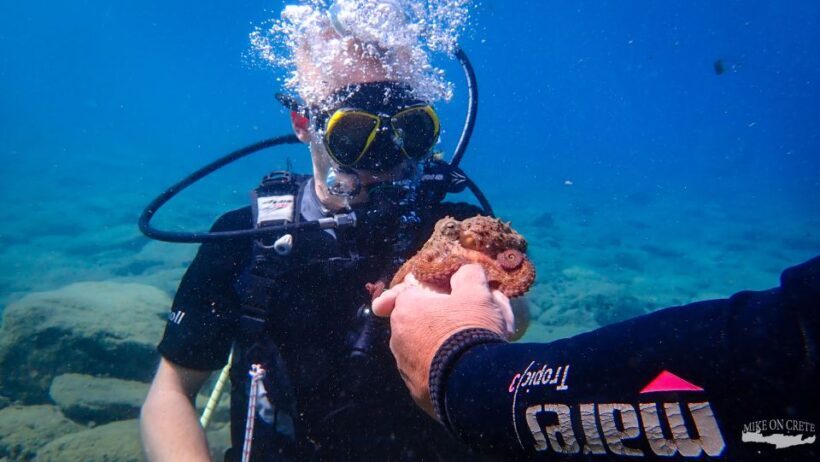 Heraklion: Scuba Diving Experience for First-Timers - Frequently Asked Questions
