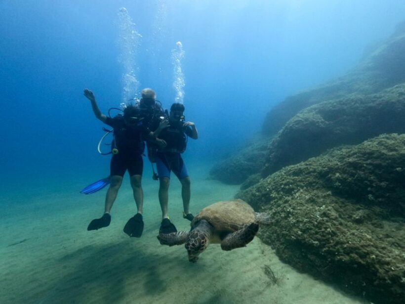 Heraklion: Scuba Diving Experience for First-Timers - Final Thoughts